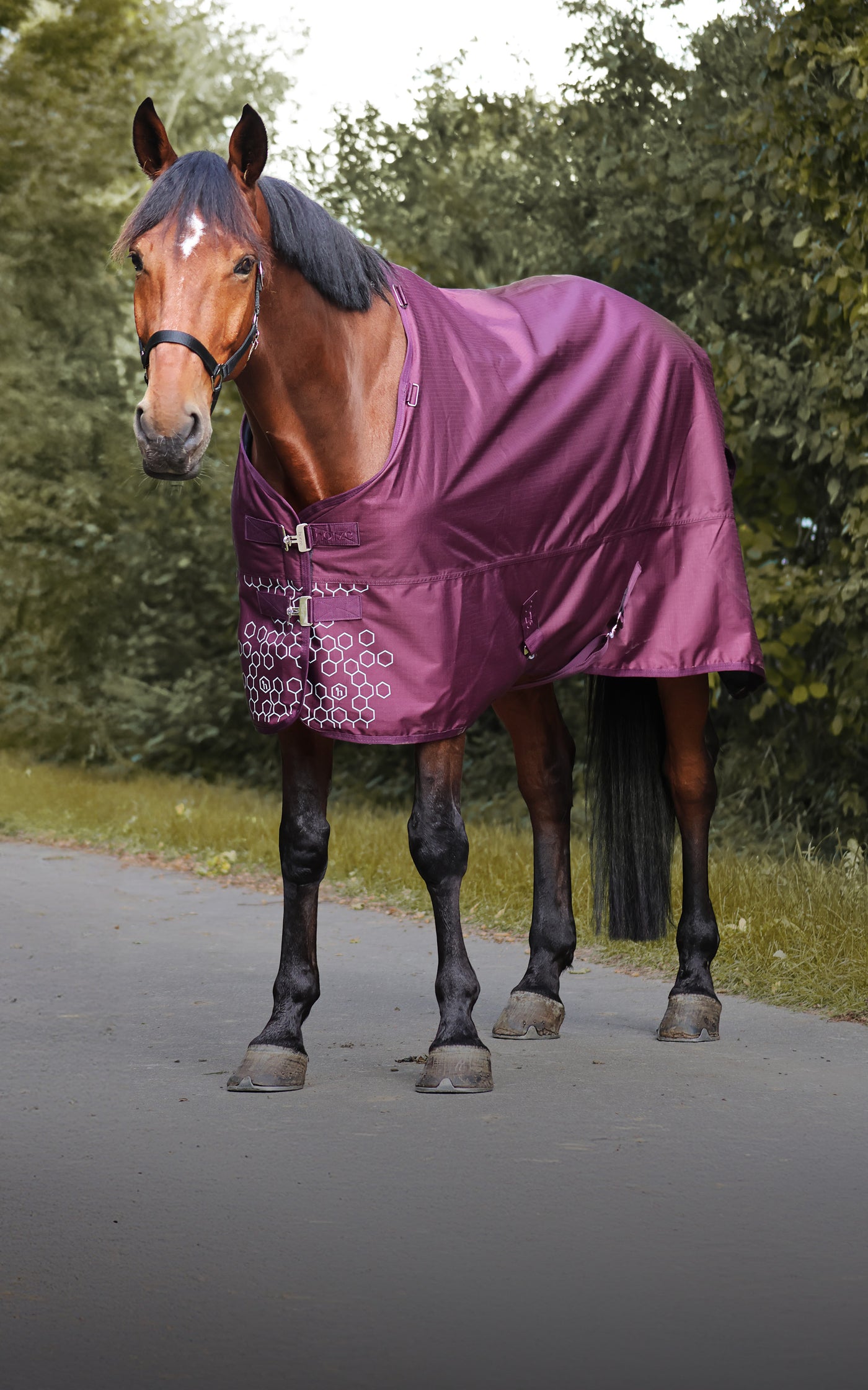Horze - Your online shop for everything you need in equestrian sports ...